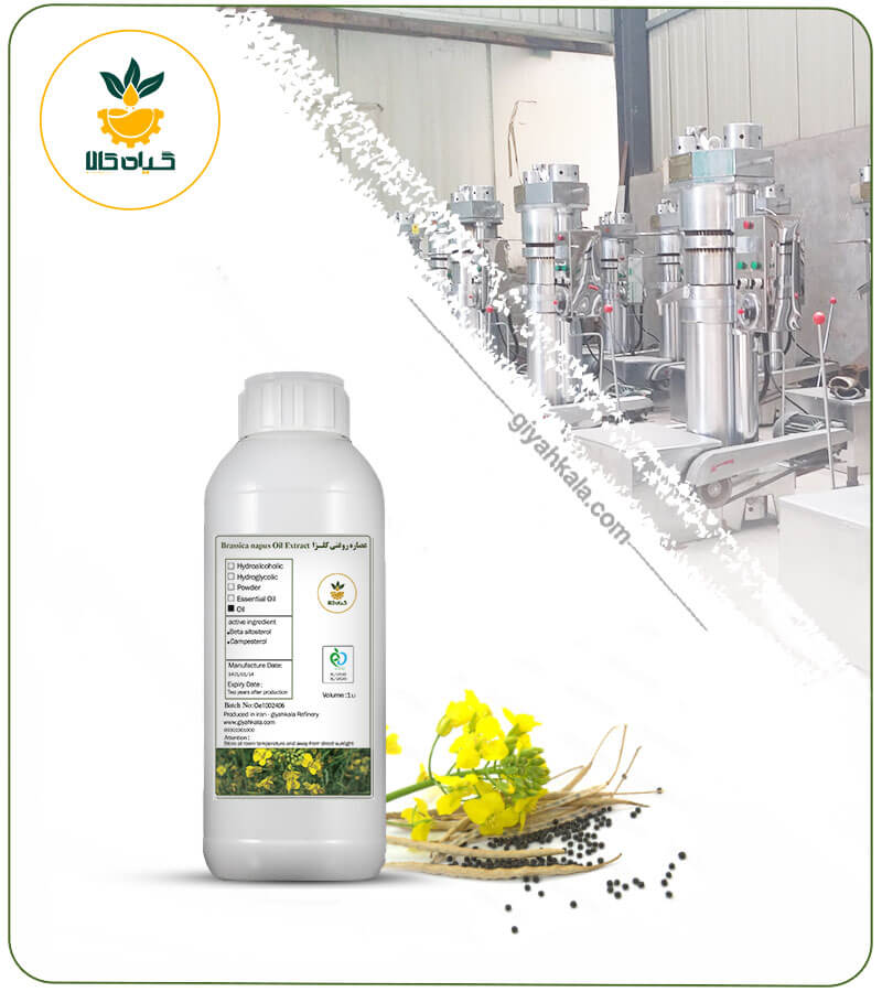 Buy, Sale Price of Rapeseed Oil - [Hygienic, Natural, Pure]