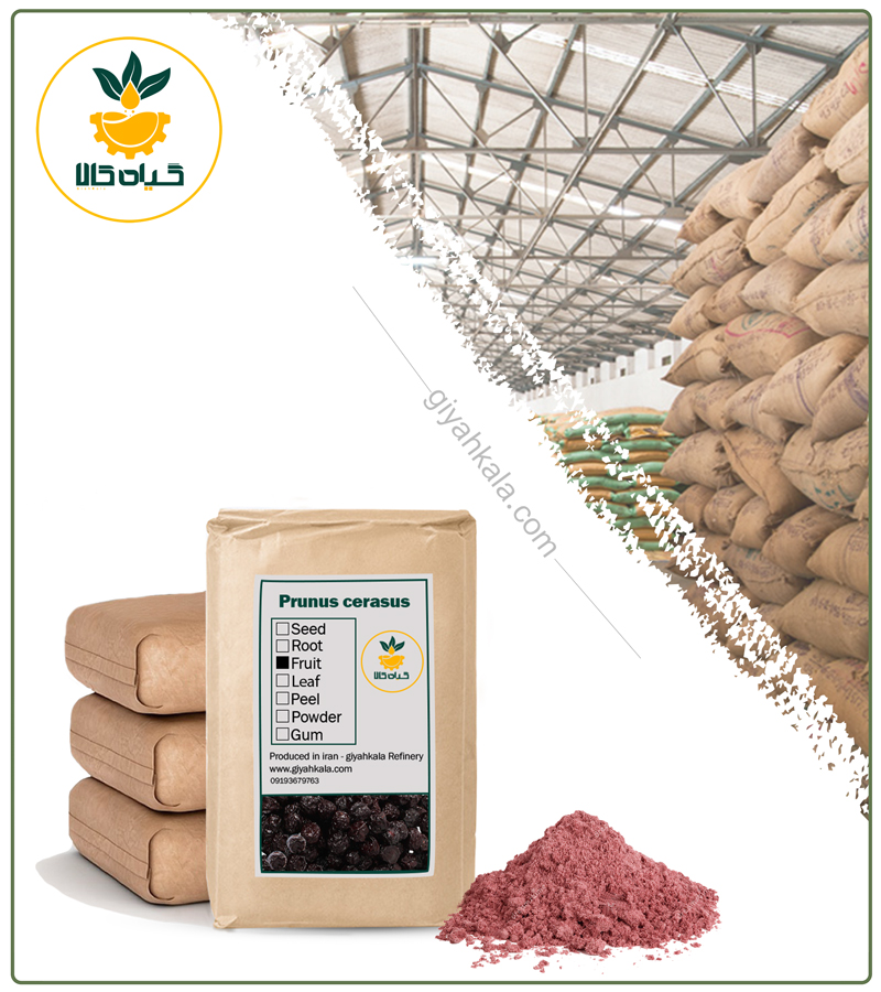 Buy, Sale Price of Sour Cherry Powder - [In Mesh, Antimicrobial]